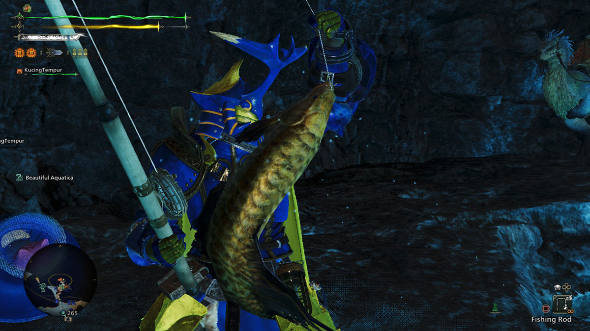 Monster Hunter Wilds: Kanya Fishing Side Missions & ‘Monster (Squid ...